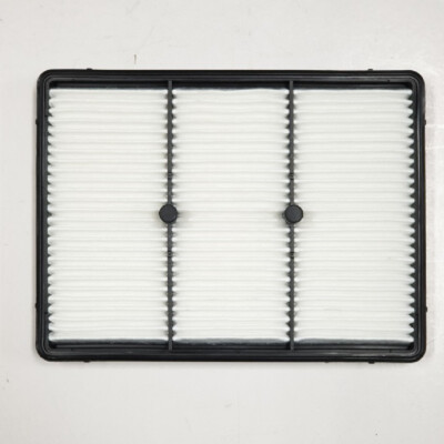 Genuine 28113 G2100 Cleaner Air Filter for 2016 2018 Hyundai Ioniq | eBay