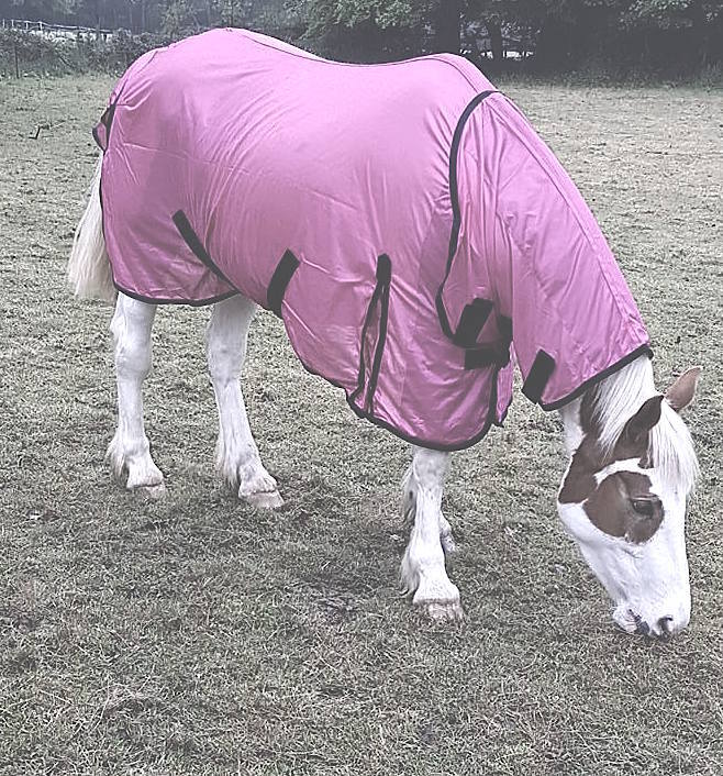 NEW AIR FLOW FOAL/MINI/SHETLAND/PONY FLY RUG SOFT MESH ATTACHED NECK ...