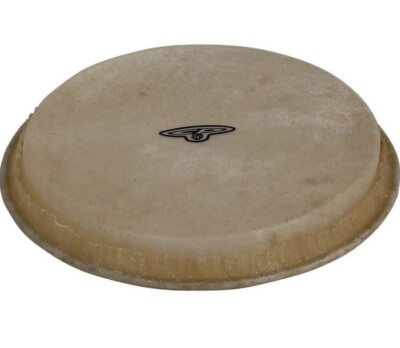 Latin Percussion CP221A 6-Inch Replacement Bongo Head for CP221 Bongo ...