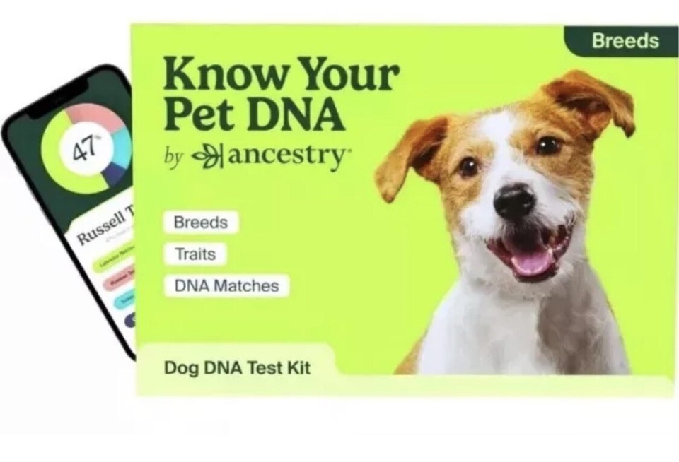 Ancestry Pet DNA Test: Dog Breed Identification Test, Genetic Traits ...