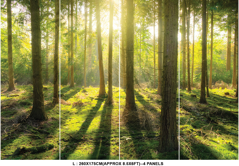 Green Tree Plant Wall Mural Forest Photo Picture Wallpaper Bedroom ...