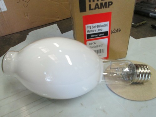 Self Ballasted Light Bulb | Shelly Lighting