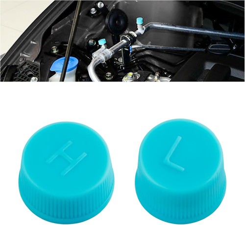 2PCS Car Air Conditioner Valve Caps,Dustproof AC Caps with Built-in | eBay