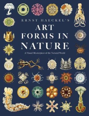 Ernst Haeckel's Art Forms in Nature: A Visual Masterpiece of the ...