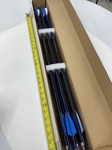 12 Atlas Arrows - 700 Spine - Vanes - Some Fletching May Be Loose - Lot ...