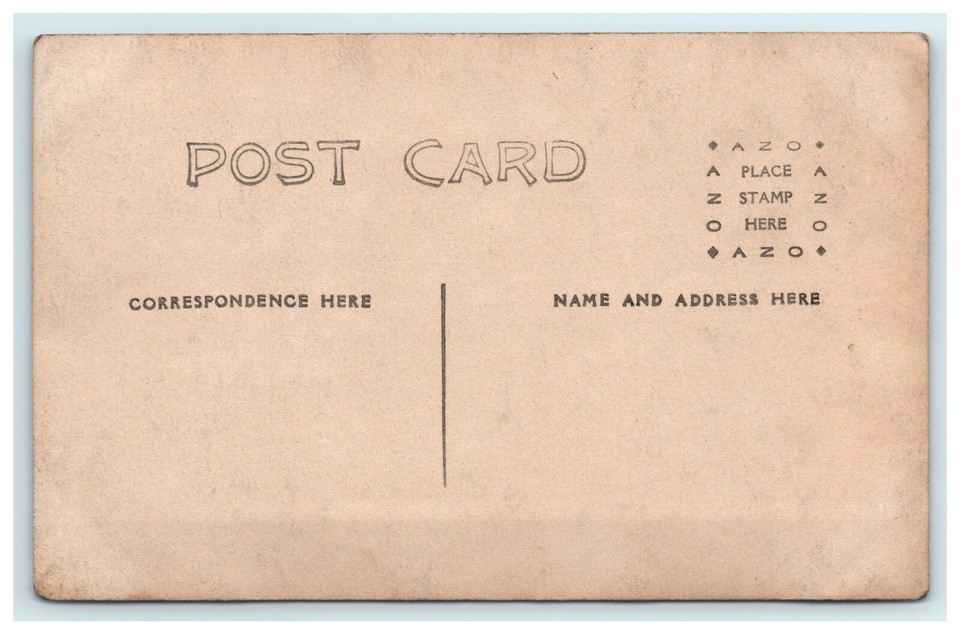 1907-1909 Young Woman Studio Studio Portrait RPPC Postcard Fanny Paston ...