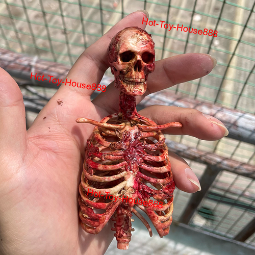 1/6 Half-body Flesh Blood Skeleton Human Model for 12" Action Figure ...