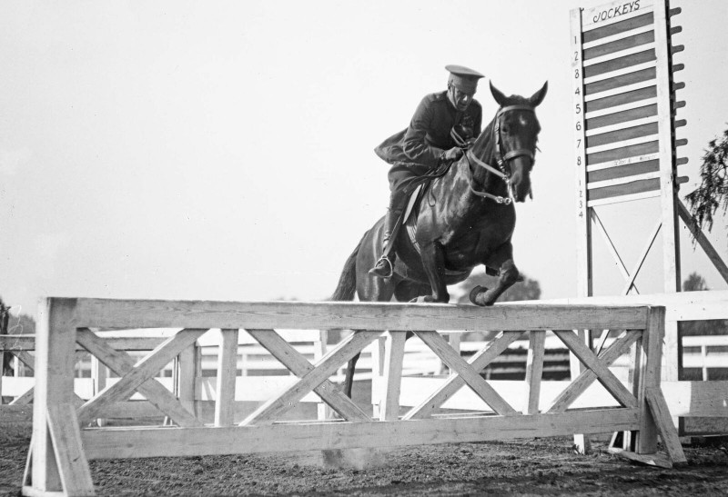 Old Horse Jumping