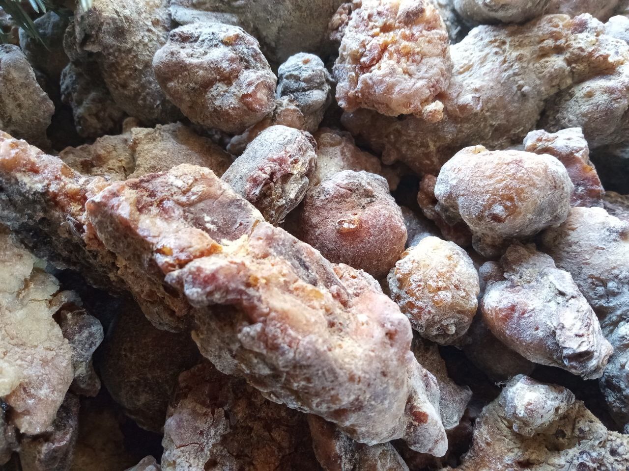 Pinon pinyon pinion pine resin sap pitch rosin different sizes | eBay