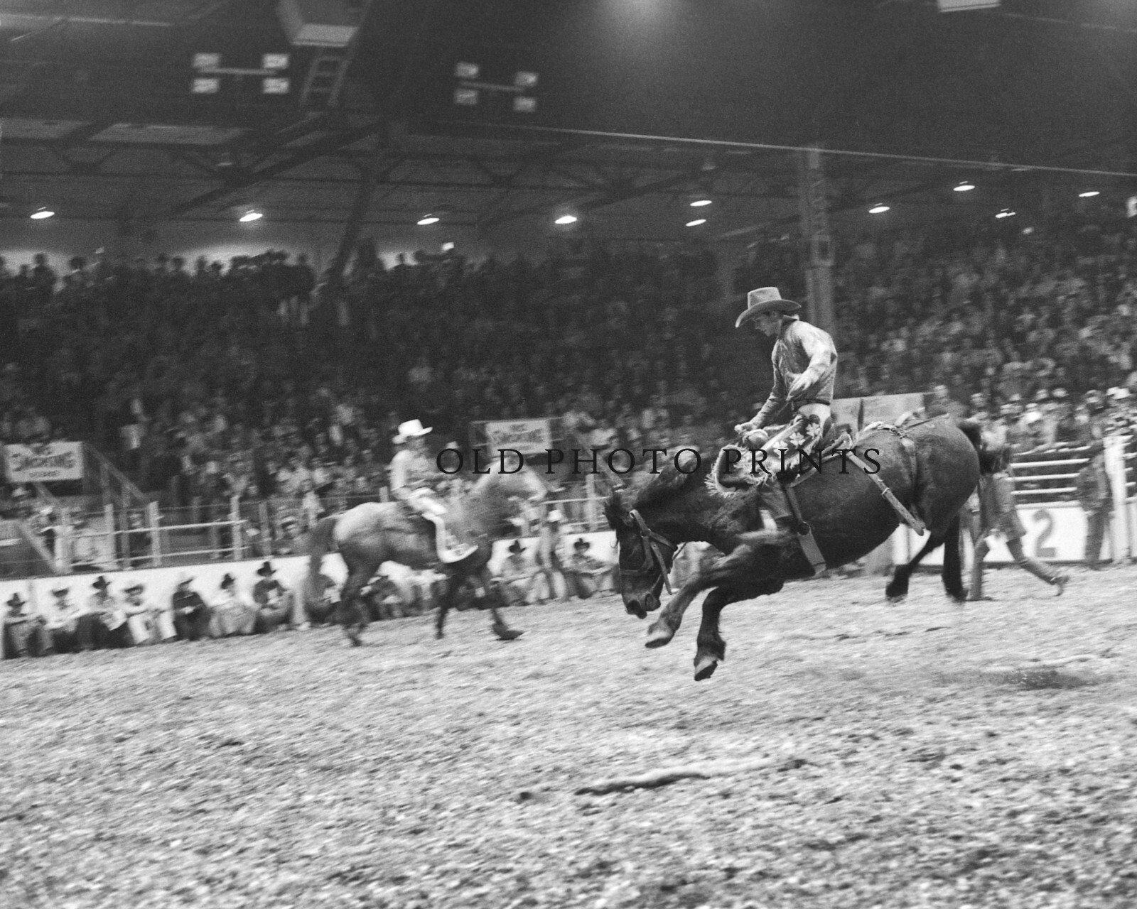 Cowboy & Horse Photograph Bronc Riding Canadian Western Rodeo 1961 8x10 ...