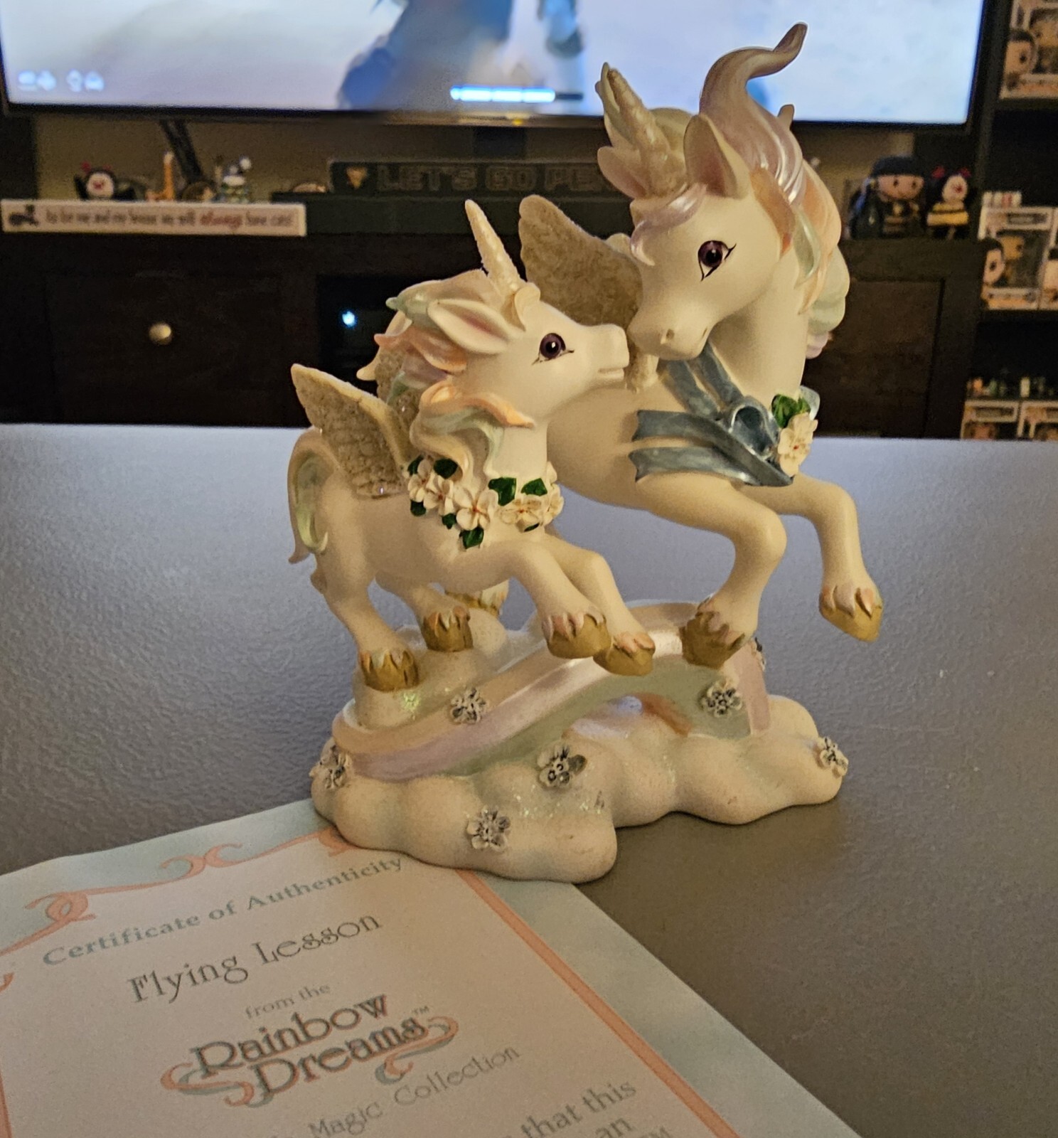 Hamilton Excange Collection, Rainbow Dream Series "Flying Lesson ...