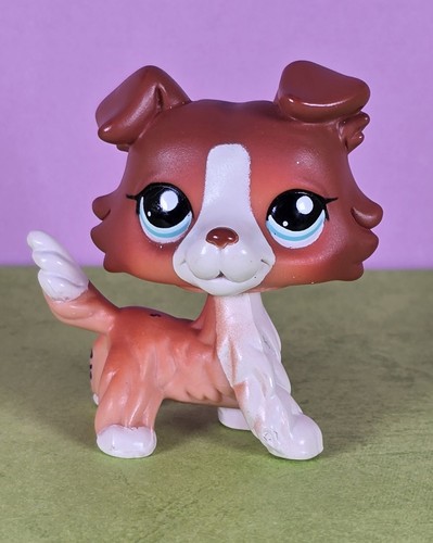 Littlest Pet Shop LPS #1542 Red Collie Puppy Dog - Authentic | eBay