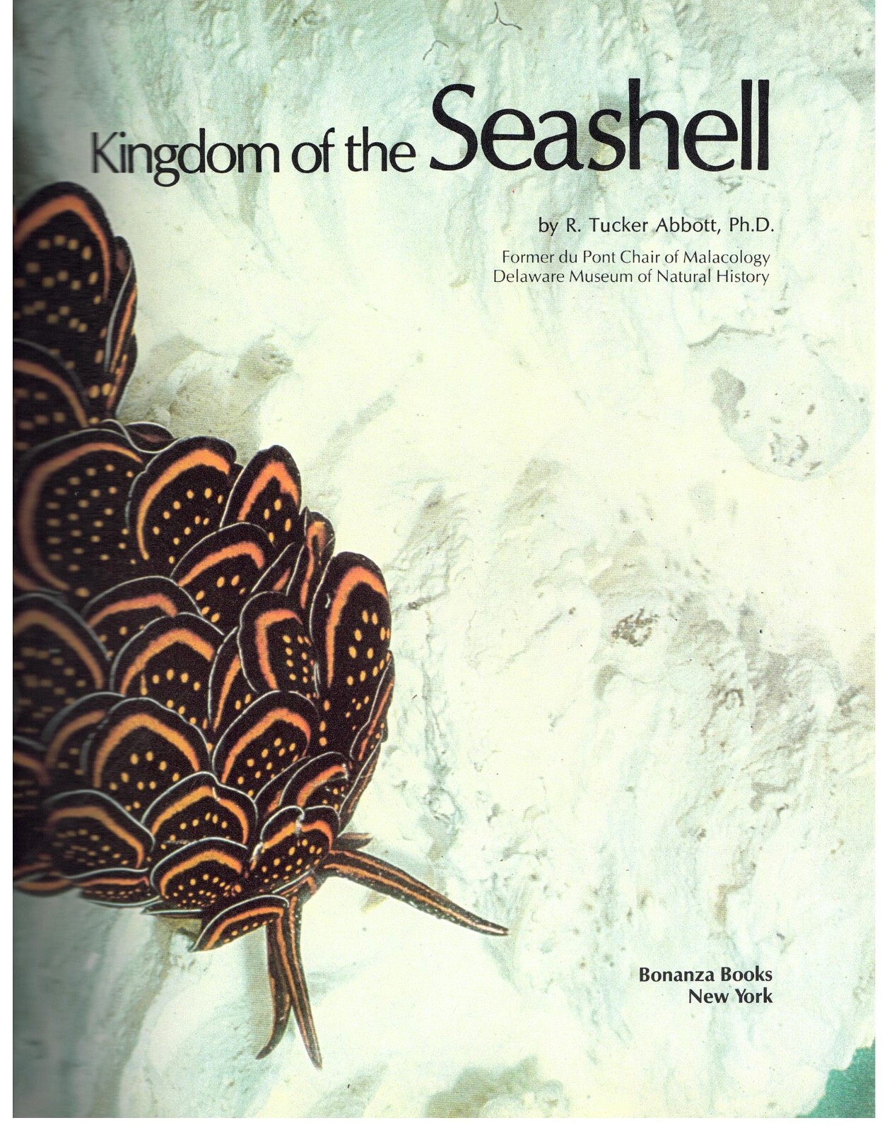 Kingdom of the Seashell Hardcover R. Tucker Abbott, 1982 Edition, no ...