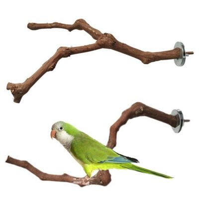 Wooden Parrot Bird Stand Tree Branch Hanging Toys Cage Perches Pet ...