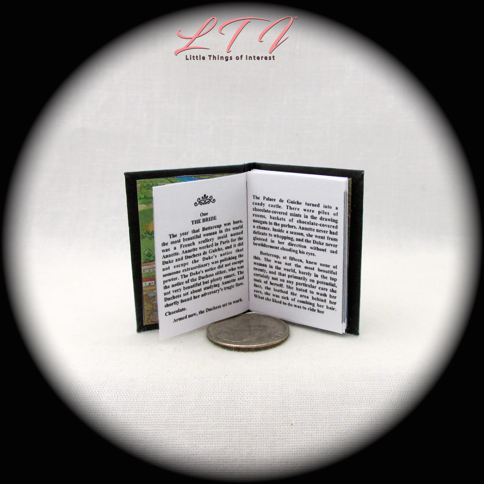 1:6 Scale THE PRINCESS BRIDE Miniature Readable Book Fairy Tale | eBay