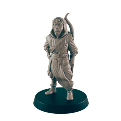 Human Ranger Mini | Male Adventurer Figure | DnD Wargaming Mini | RPG ...