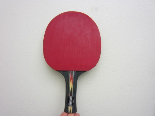 Stiga Future WRB Table Tennis Ping Pong Paddle with FUTURE Rubbers. No ...