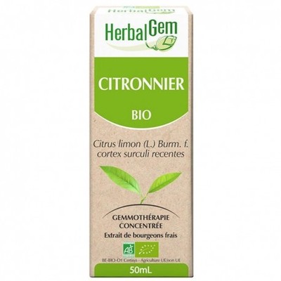 GEMMOBASE Citronnier | eBay