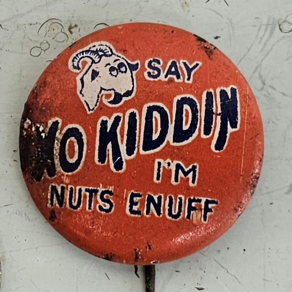 Vintage "say No Kiddin I'm nuts enuff" Stick-Pin Anti-Kiddin Campaign Button | eBay