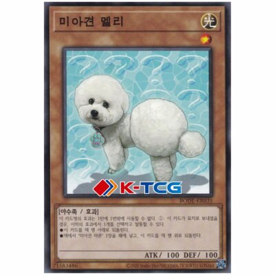 Yugioh Card "Outstanding Dog Mary" BODE-KR035 Korean Ver Rare | eBay