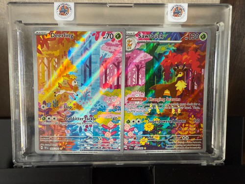 Deerling 165/162 & Sawsbuck 166/162 - Illustration Rare Pair - Temporal ...