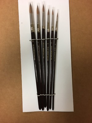 6 PIECE RED SABLE HAIR ARTIST BRUSH | eBay