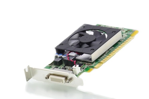 Nvidia GeForce 605 Grafikkarte 1GB DMS-59 PCIe x16 - 03X6579 | eBay