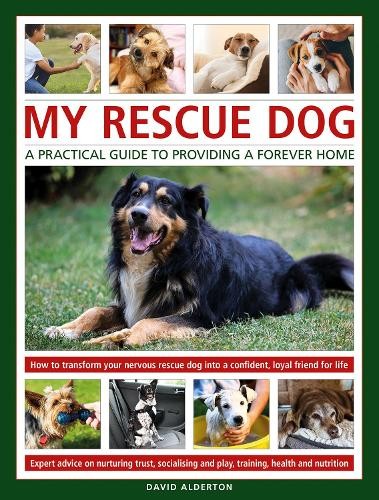 David Alderton My Rescue Dog: A practical guide to providing a foreve ...
