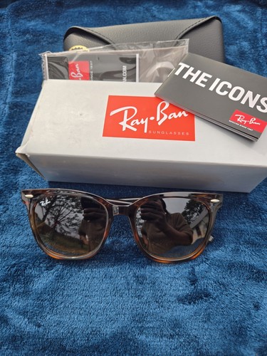 Ray-Ban Sunglasses ASIAN FIT BLACK BROWN RB4379D-F710/13-65mm | eBay