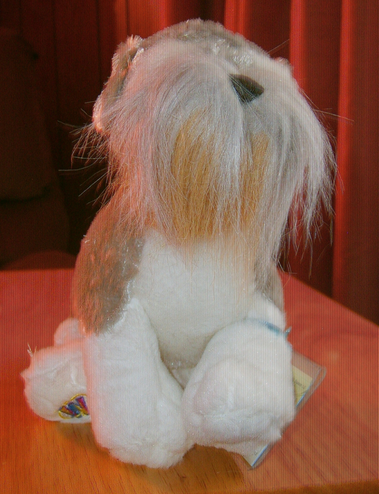 Ganz Webkinz Schnauzer HM159 Plush Dog Sealed/Unused Tag Mint Condition ...