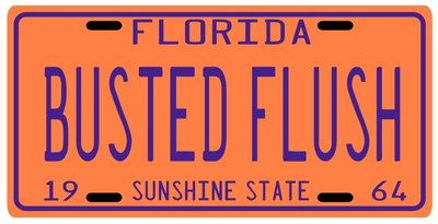 John D. MacDonald Travis Mcgee BUSTED FLUSH 1964 FL License plate | eBay