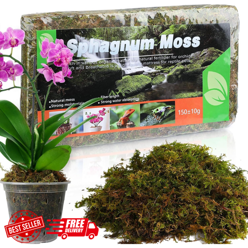 Dried Forest Moss for Plants (5 Qt / 1 Pack), Sphagnum Potting Moss for ...