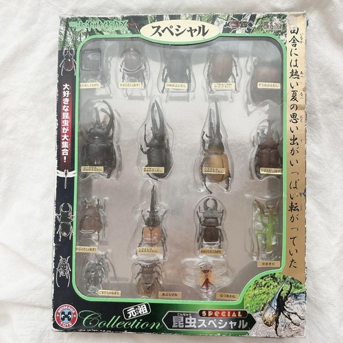 Insect Special Beetle Stag Figure Vintage Collectible Summer Vacation ...