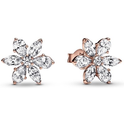 Boucles d´oreilles Femme Pandora 282407C01 Argent 925 | eBay