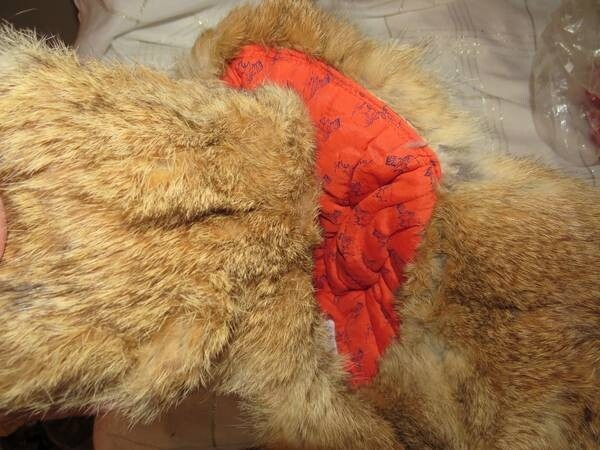 NEW MAD BOMBER TRAPPER HAT RABBIT FUR SIZE M HUNTING AVIATOR CAMO | eBay