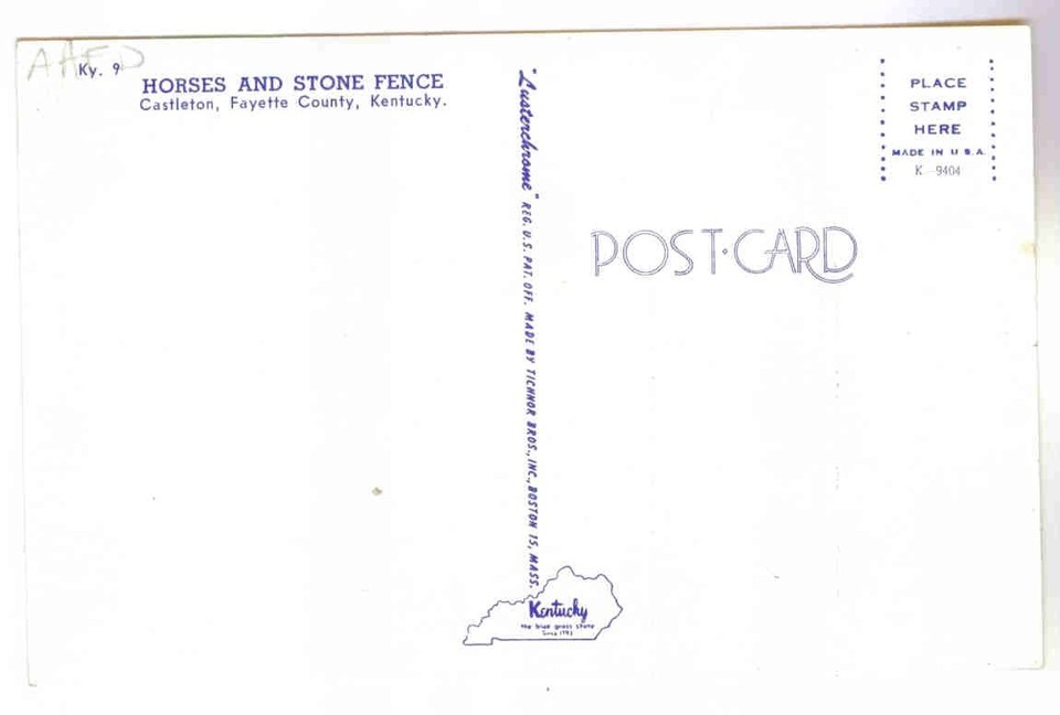 YEARLINGS AT CASTLETON "LYONS" THOROUGHBRED FARM, LEXINGTON KENTUCKY ...