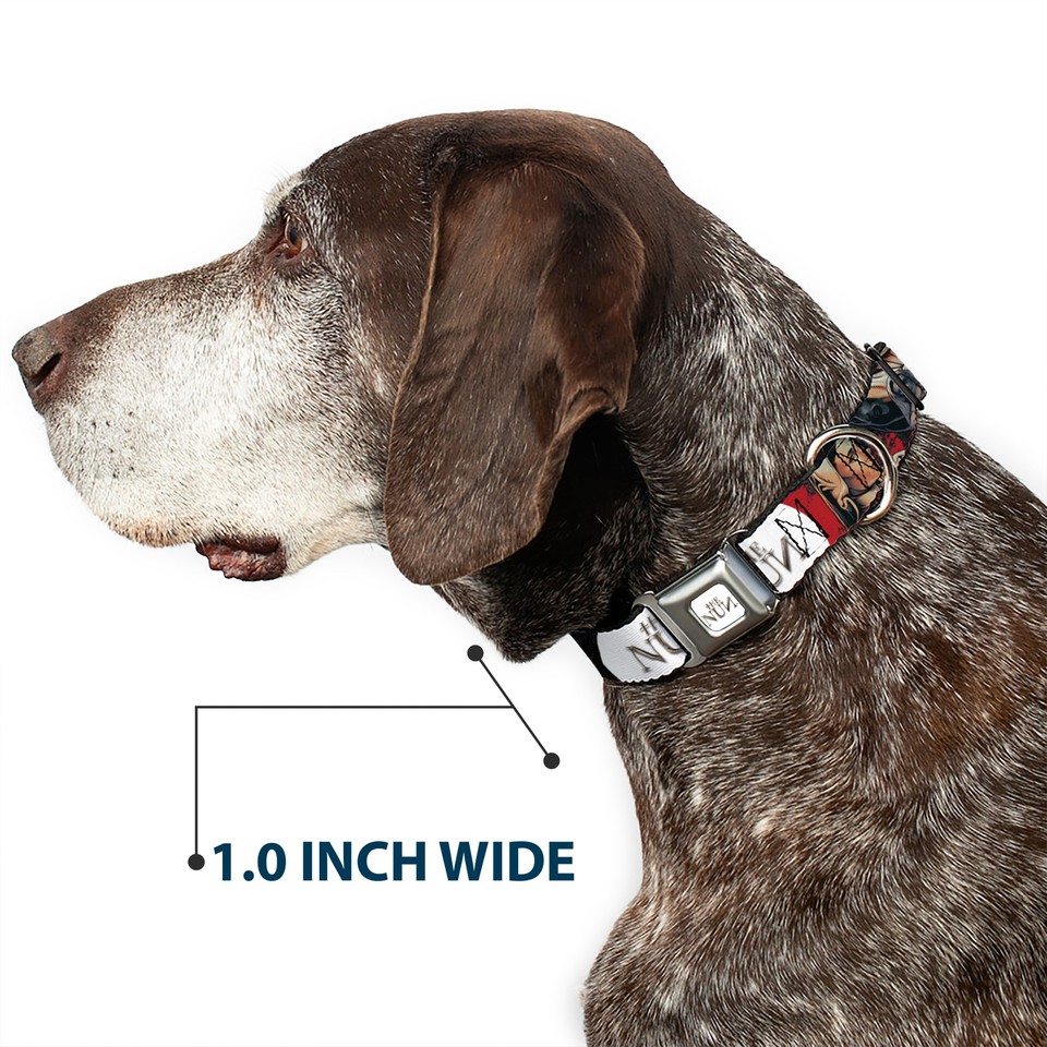 Dog Collar NUNE-THE NUN Text Logo Full Color White/Grays THE NUN Sister ...