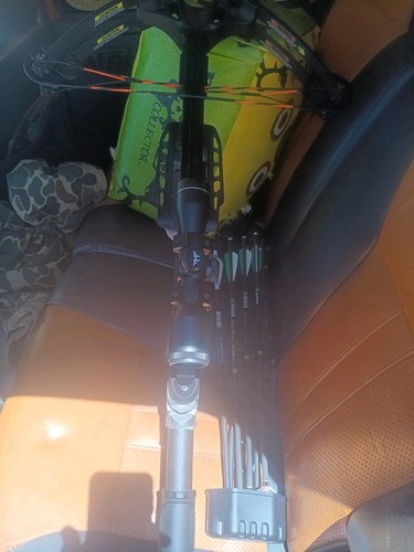 NEW Barnett Stalker XP 380 Crossbow Package 380 FPS Mossy Oak ...