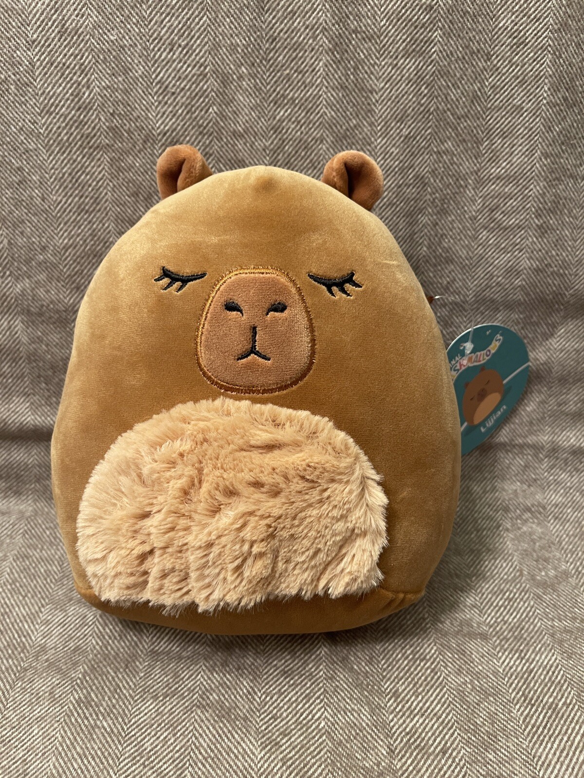 New! 7.5" Squishmallows LIJJIAN the Capybara Plush Toy 2024 | eBay