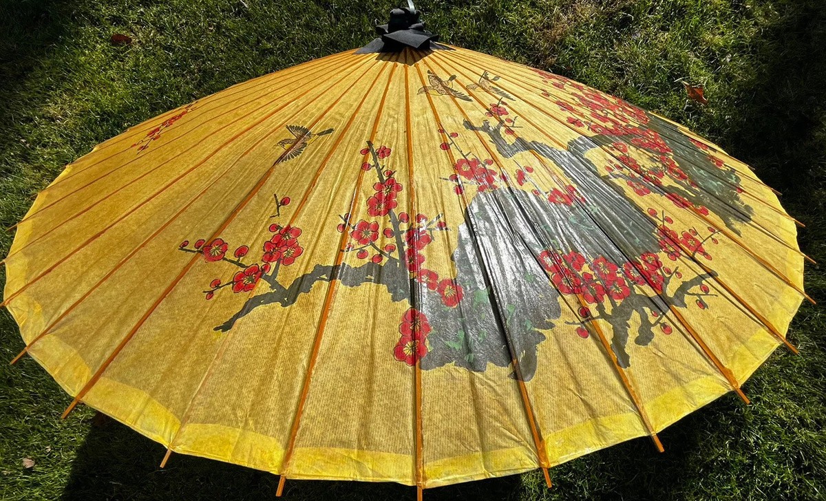 Japanese Parasol Stock Photo Image Of Paper Fashion