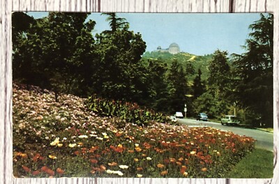 Fern Dell Drive Entrance Griffith Park Los Angeles CA Postcard Vtg ...
