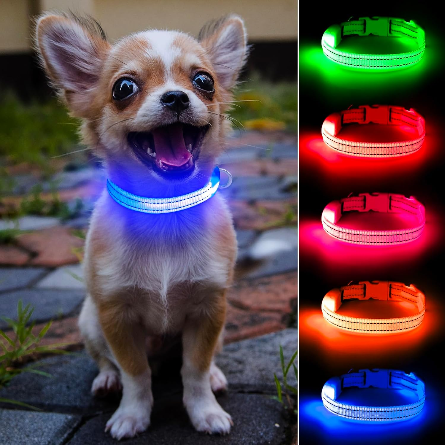 Light up Dog Collar for Small Dogs, Reflective LED Dog Collar ...