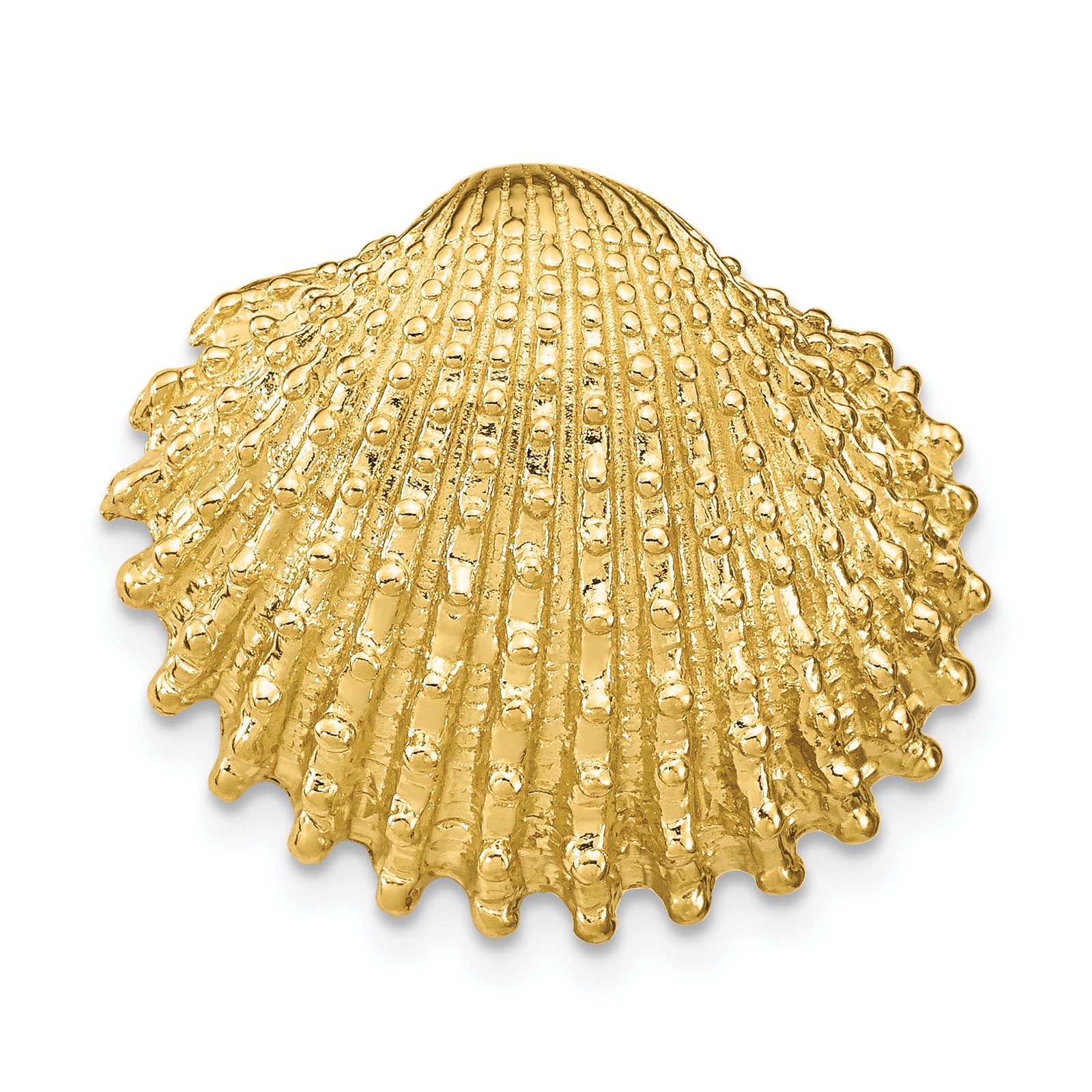 Lex & Lu 14k Yellow Gold Scallop Shell Slide LALSL614 | eBay