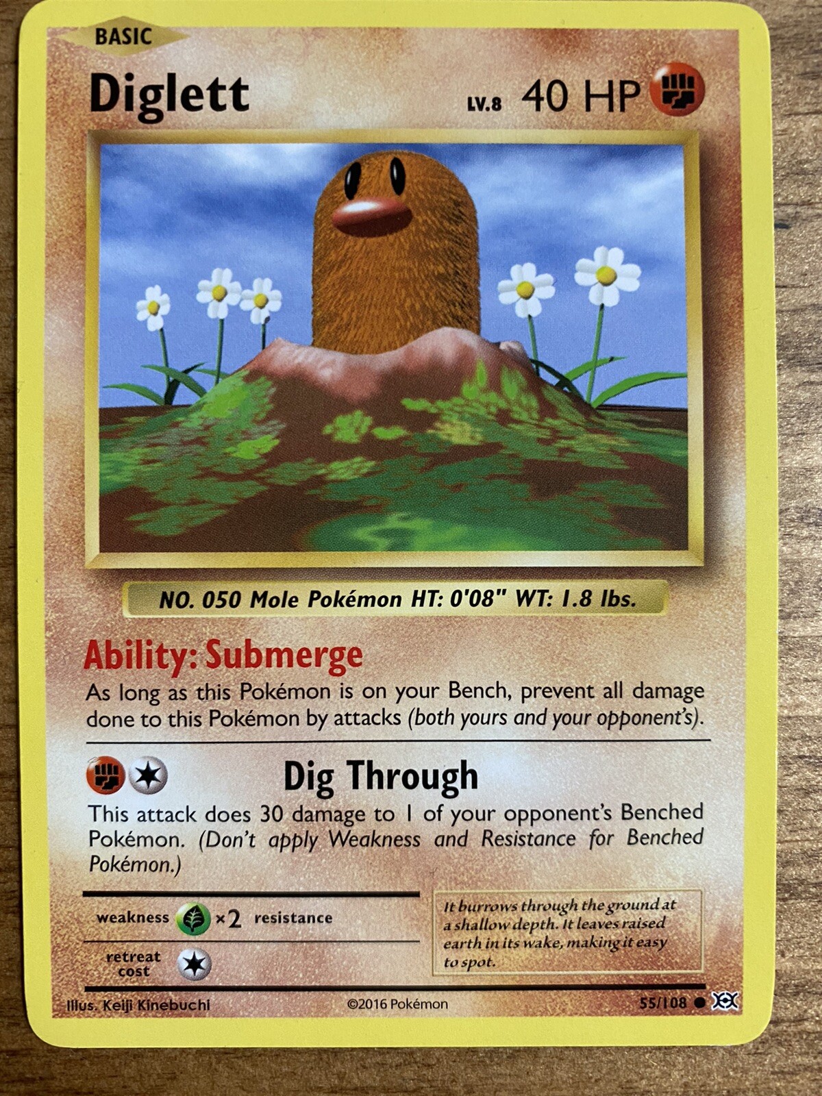 2016 1st Edition Diglett | eBay