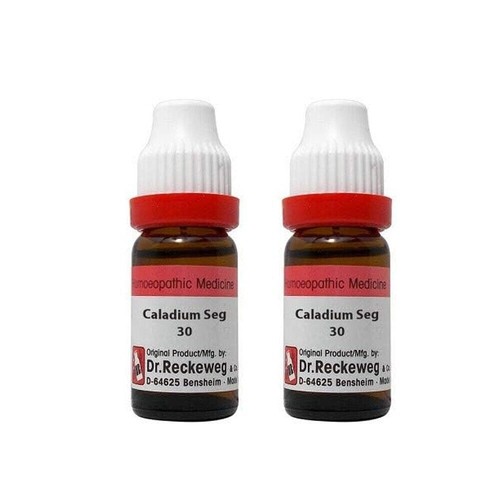 Caladium Seguinum 30C 11 ML par Reckeweg (paquet de 2) | eBay