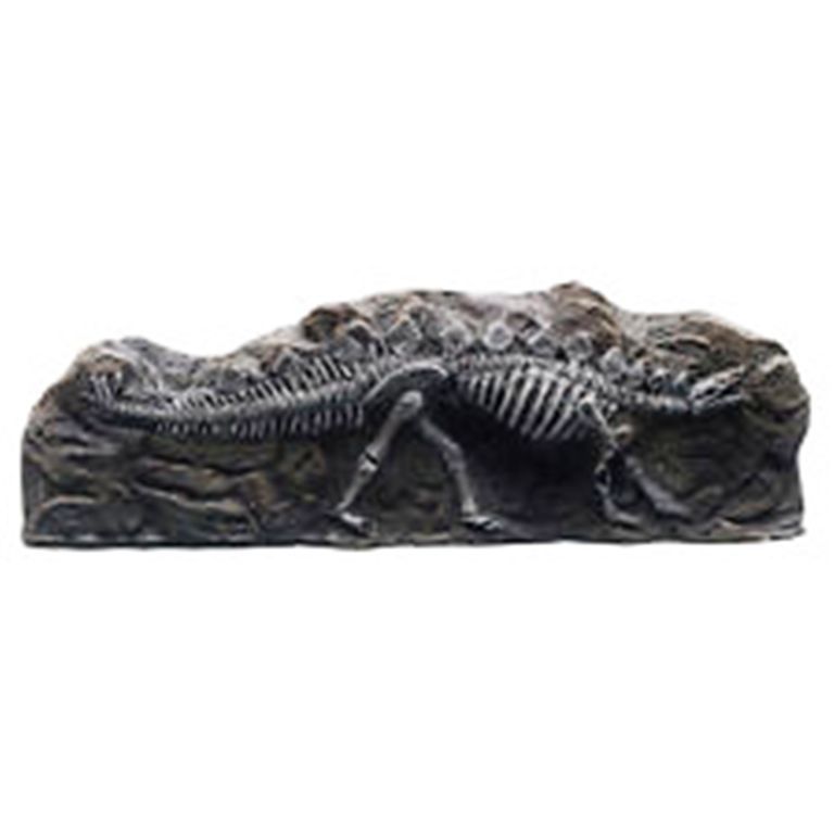 Marina Fossil Stegosaurus Fish Tank Ornament, or for a Vivarium | eBay UK
