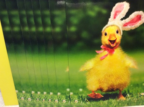 AVANTI EASTER GREETING CARDS New w/Envelopes LOT 8 "happy Easter" GREAT ...