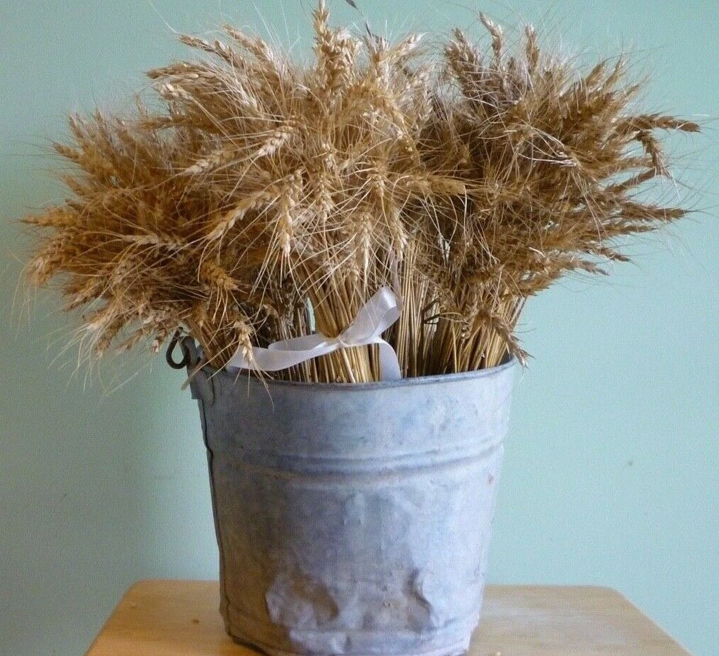 Dried Wheat Arrangements