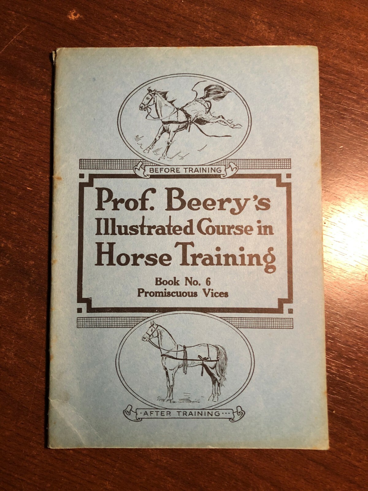 PROF. BEERY'S ILLUSTRATED COURSE IN HORSE TRAINING - BOOK NO. 6 - P/B ...