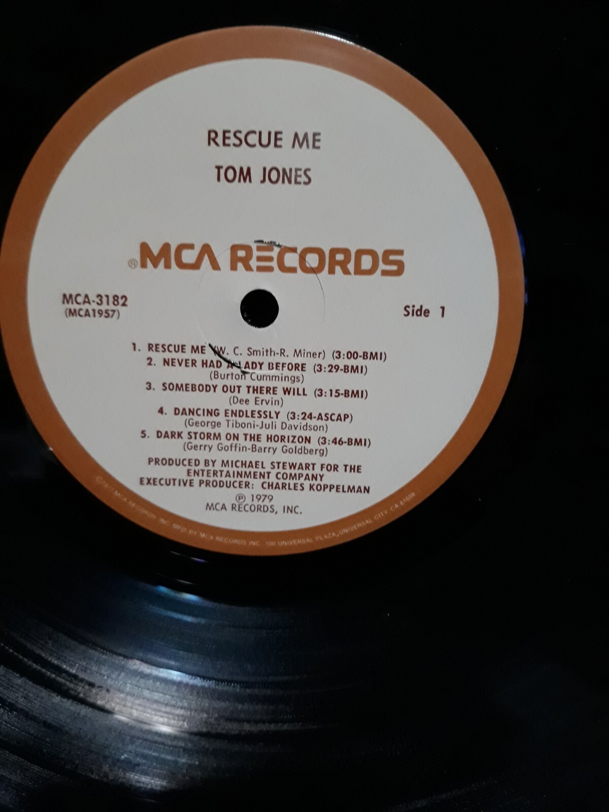 Tom Jones-2 LPs-"What A Night" & "Rescue Me"-Epic & MCA Records-JE ...